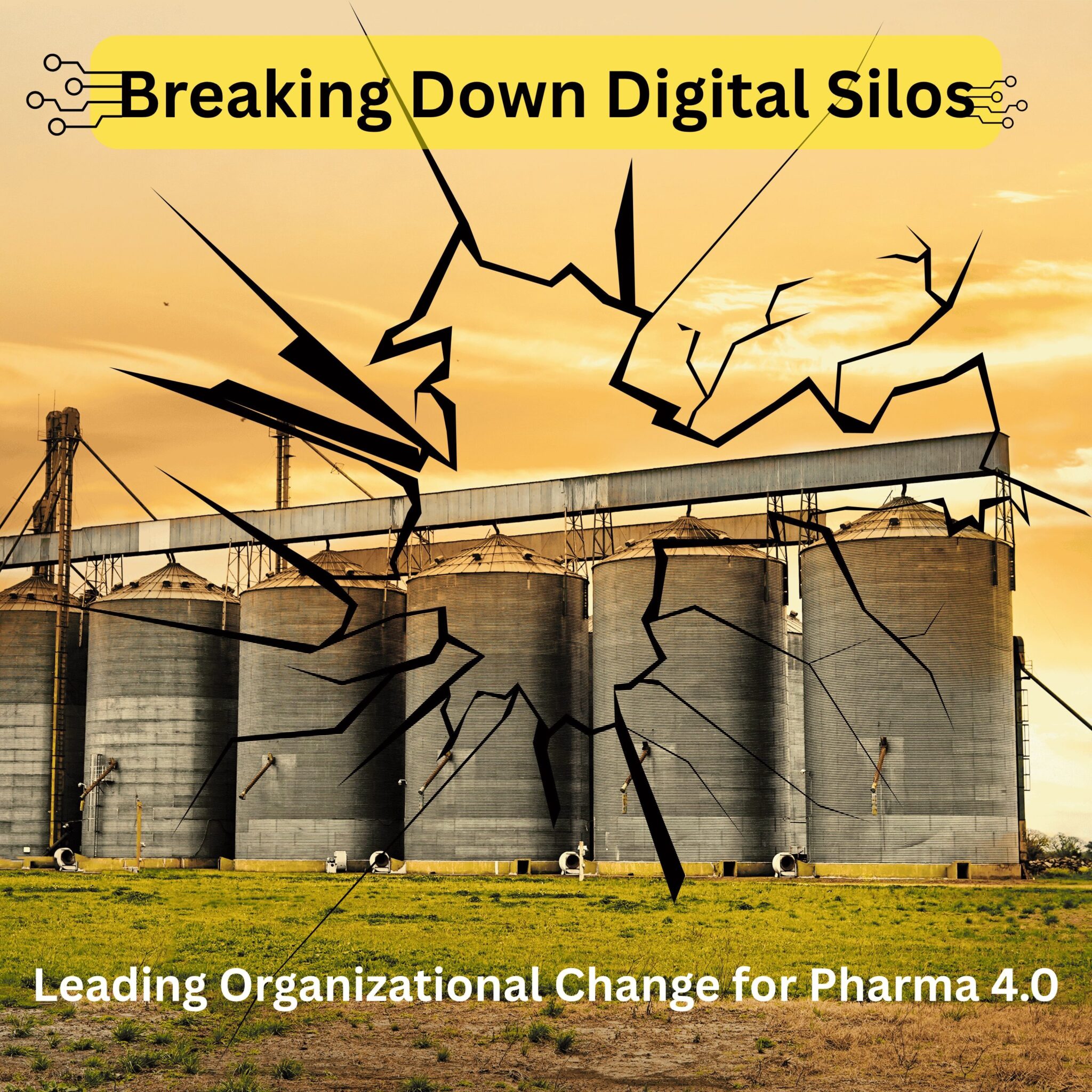 66: Breaking Down Digital Silos – Leading Organizational Change for ...